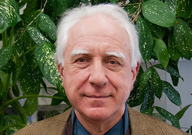 Hervé Varenne: Radical Democracy as the Human Condition | Teachers ...